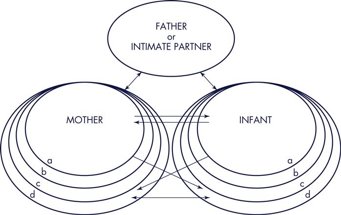 Nursing Theory