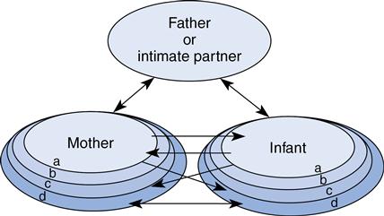 Nursing Theorists and Their Work