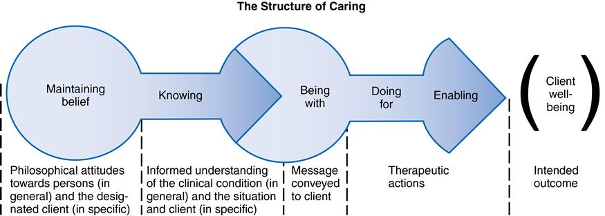 Nursing Theorists and Their Work