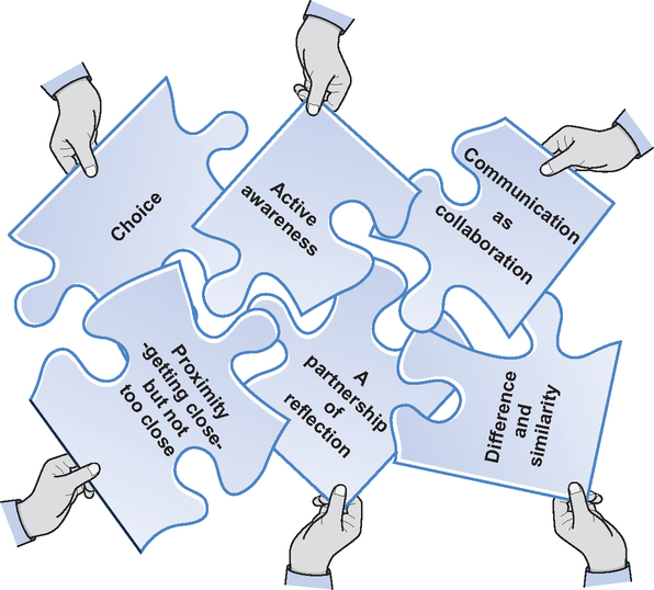 PRACTISING CLINICAL SUPERVISION: A REFLECTIVE APPROACH FOR HEALTHCARE ...