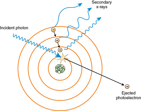 Essentials of Radiographic Physics and Imaging