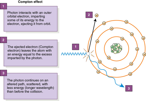 Essentials of Radiographic Physics and Imaging