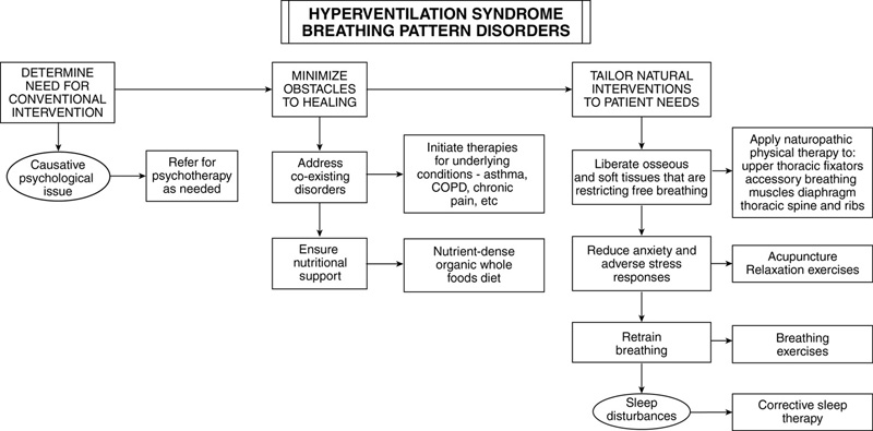 The Clinician's Handbook of Natural Medicine