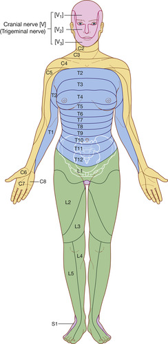 Intraspinal Access and Medication Administration