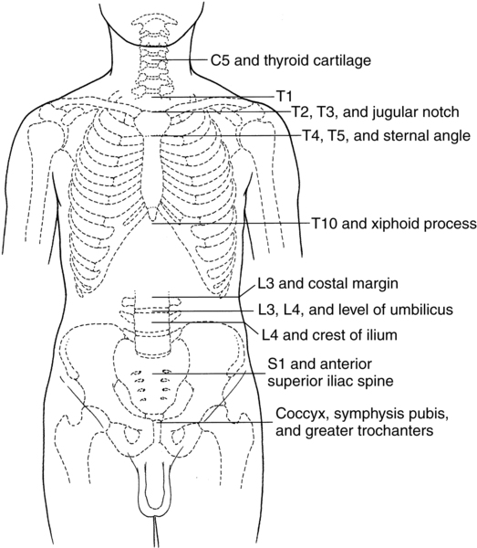 Sectional Anatomy for Imaging Professionals