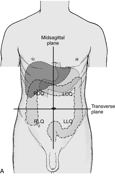 Sectional Anatomy for Imaging Professionals