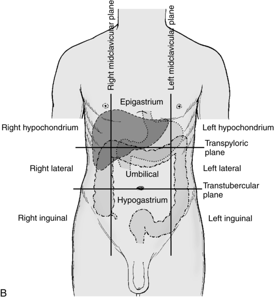 Sectional Anatomy for Imaging Professionals