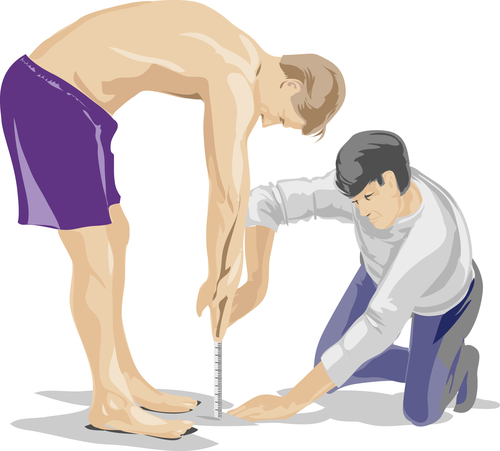 Joint Range of Motion and Muscle Length Testing