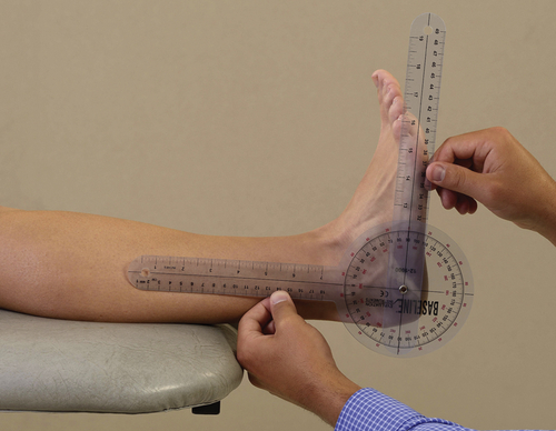 Joint Range of Motion and Muscle Length Testing