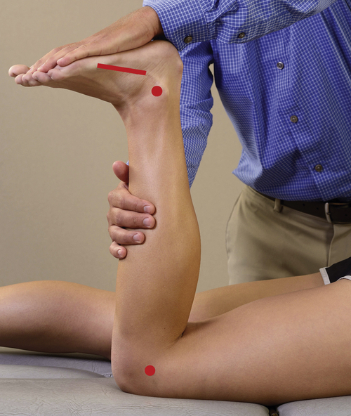 Joint Range of Motion and Muscle Length Testing