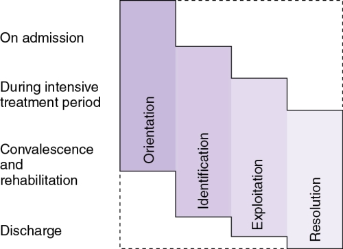 Nursing Theorists and Their Work