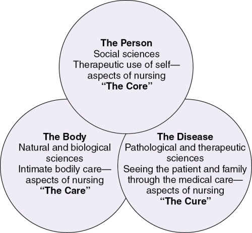 Nursing Theorists and Their Work