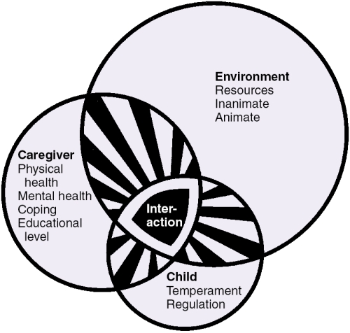 Nursing Theorists and Their Work