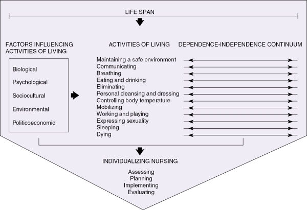 Nursing Theorists and Their Work