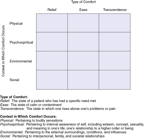 Nursing Theorists and Their Work