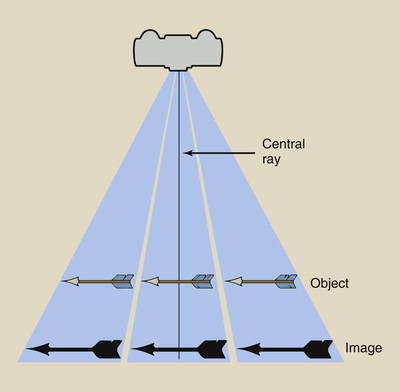 Radiologic Science for Technologists