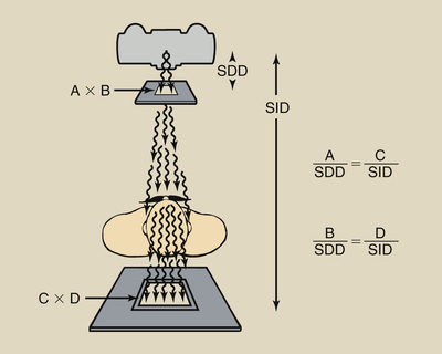 Radiologic Science for Technologists