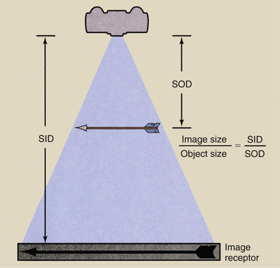 Radiologic Science for Technologists