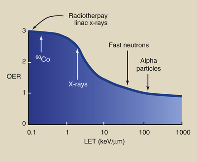 Radiologic Science for Technologists