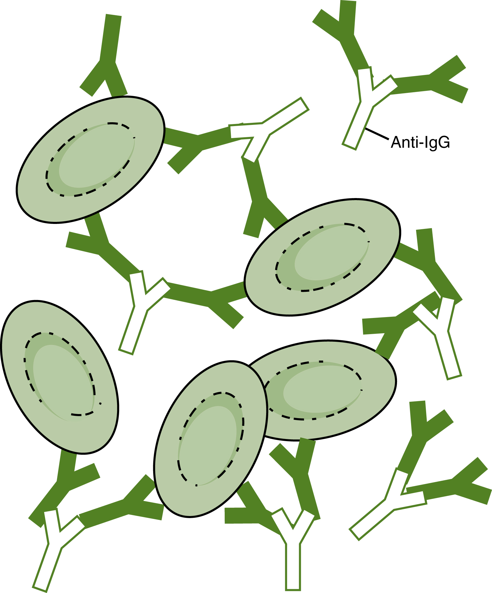 Basic & Applied Concepts of Blood Banking and Transfusion Practices