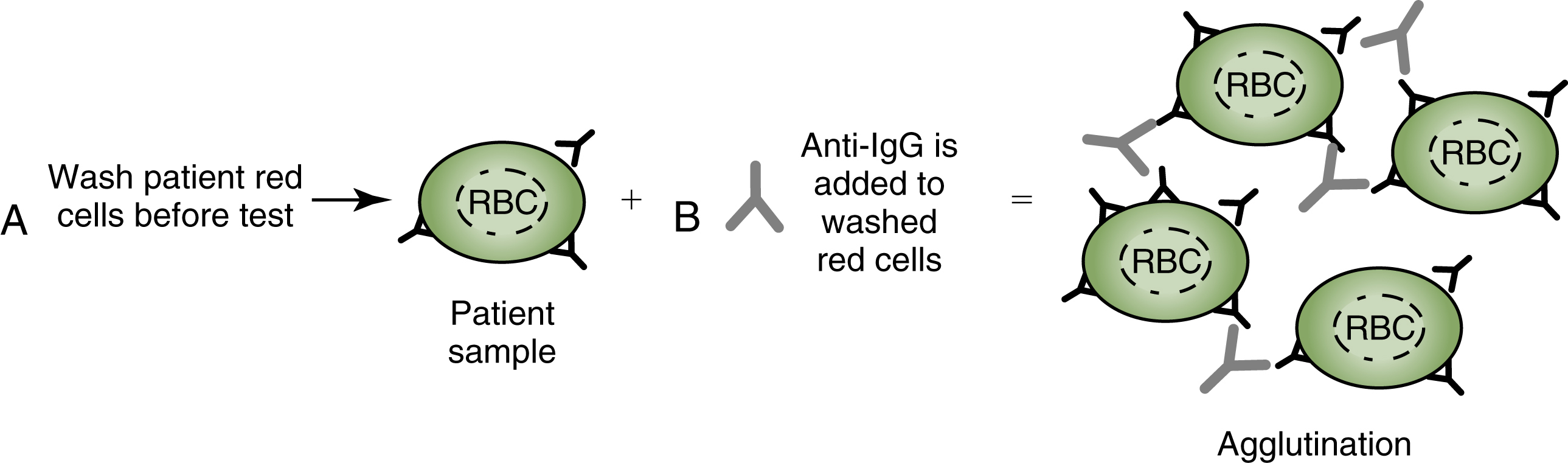 Basic & Applied Concepts of Blood Banking and Transfusion Practices