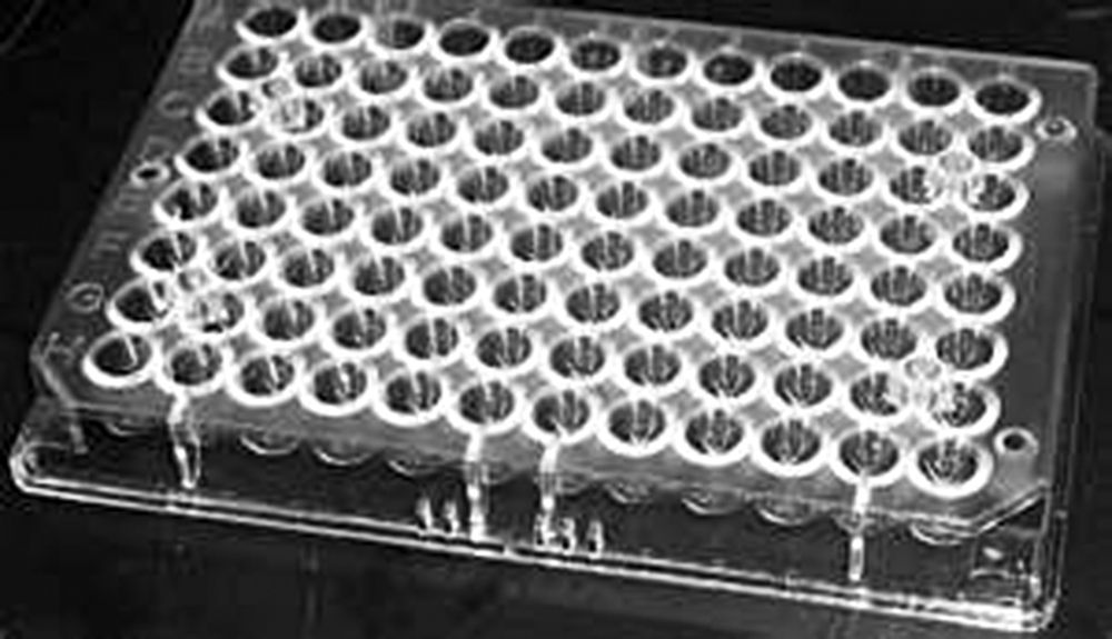 Basic & Applied Concepts of Blood Banking and Transfusion Practices