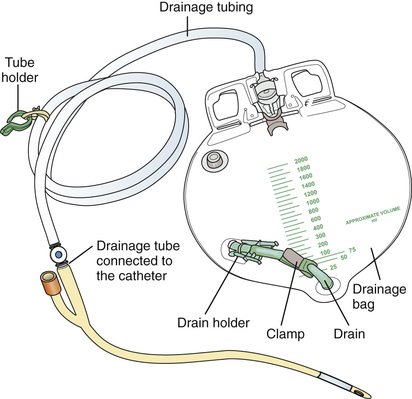 Mosby's Textbook for Nursing Assistants