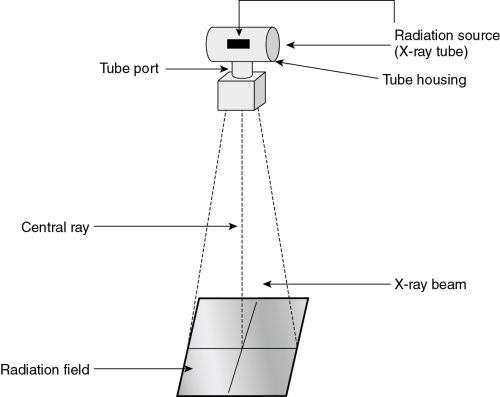 Radiography Essentials : For Limited Practice