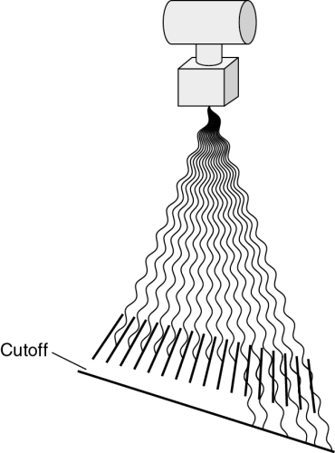Radiography Essentials : For Limited Practice