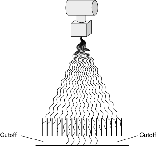 Radiography Essentials : For Limited Practice