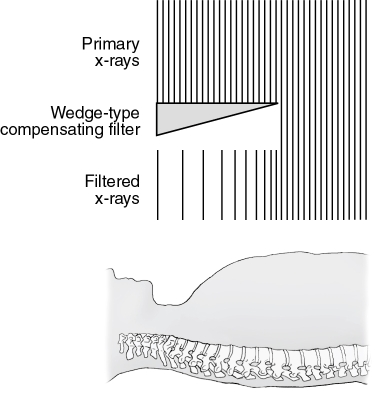 Radiography Essentials : For Limited Practice
