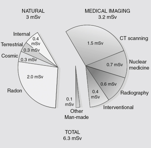 Radiography Essentials : For Limited Practice