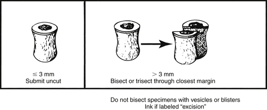Manual of Surgical Pathology