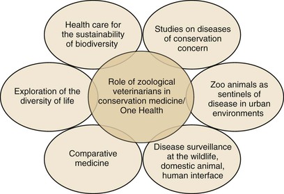 Conservation Medicine to One Health
