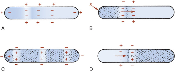 Goldberger's Clinical Electrocardiography