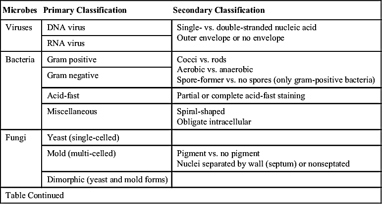 Basic Medical Microbiology