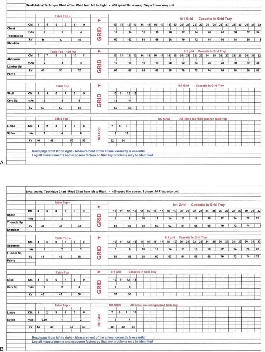 Lavin's Radiography for Veterinary Technicians