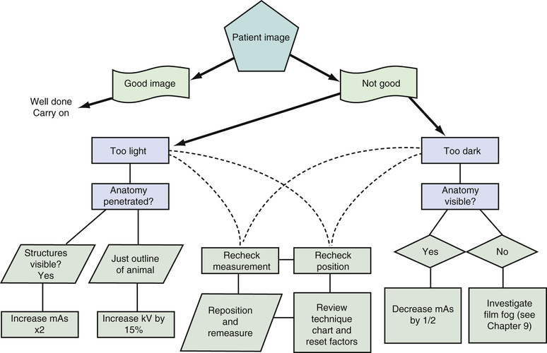 Lavin's Radiography for Veterinary Technicians