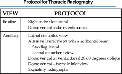 Lavin's Radiography for Veterinary Technicians