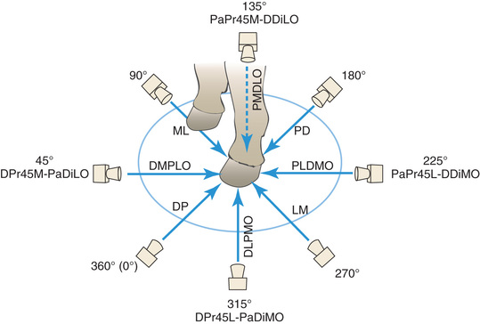 Lavin's Radiography for Veterinary Technicians