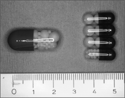 Textbook of Veterinary Diagnostic Radiology