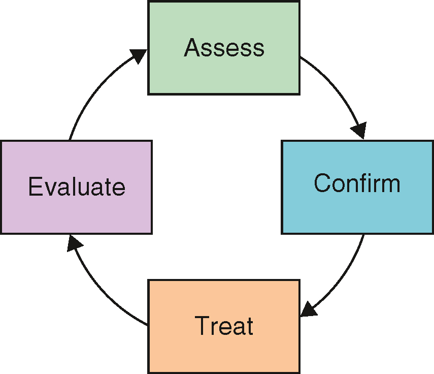 PARAMEDIC PRINCIPLES AND PRACTICE ANZ: A clinical reasoning approach 2E