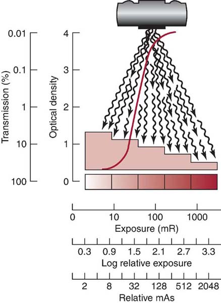 Radiographic Imaging and Exposure