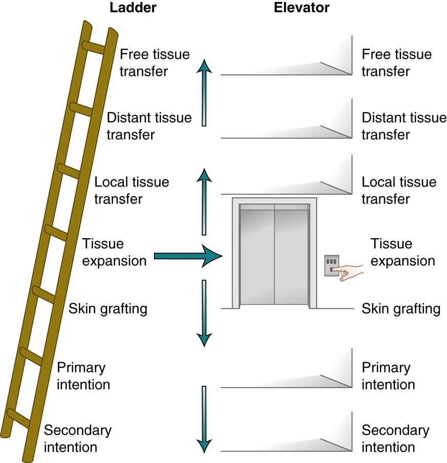Rehabilitation of the Hand and Upper Extremity