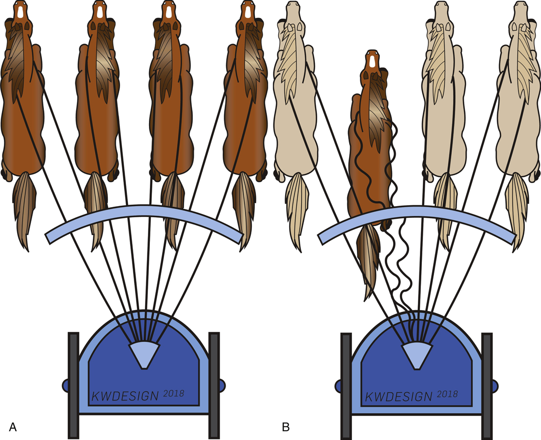 Rehabilitation of the Hand and Upper Extremity