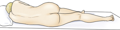 General Anatomy and Radiographic Positioning Terminology