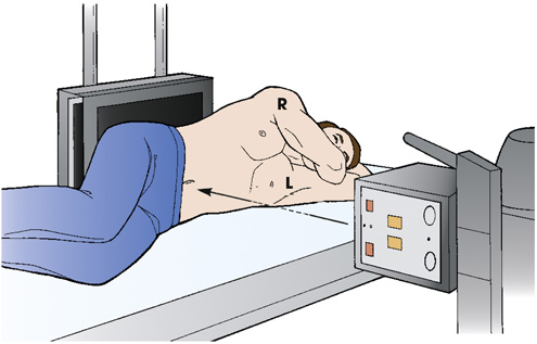 General Anatomy and Radiographic Positioning Terminology