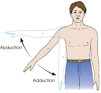 General Anatomy and Radiographic Positioning Terminology