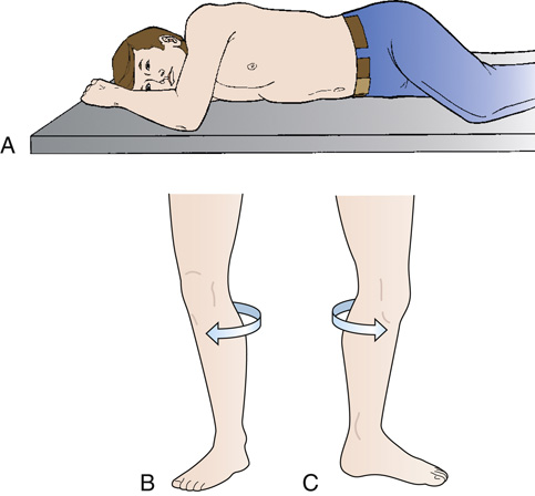 General Anatomy and Radiographic Positioning Terminology