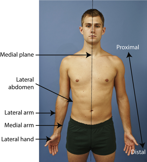 Bontrager's Textbook of Radiographic Positioning and Related Anatomy